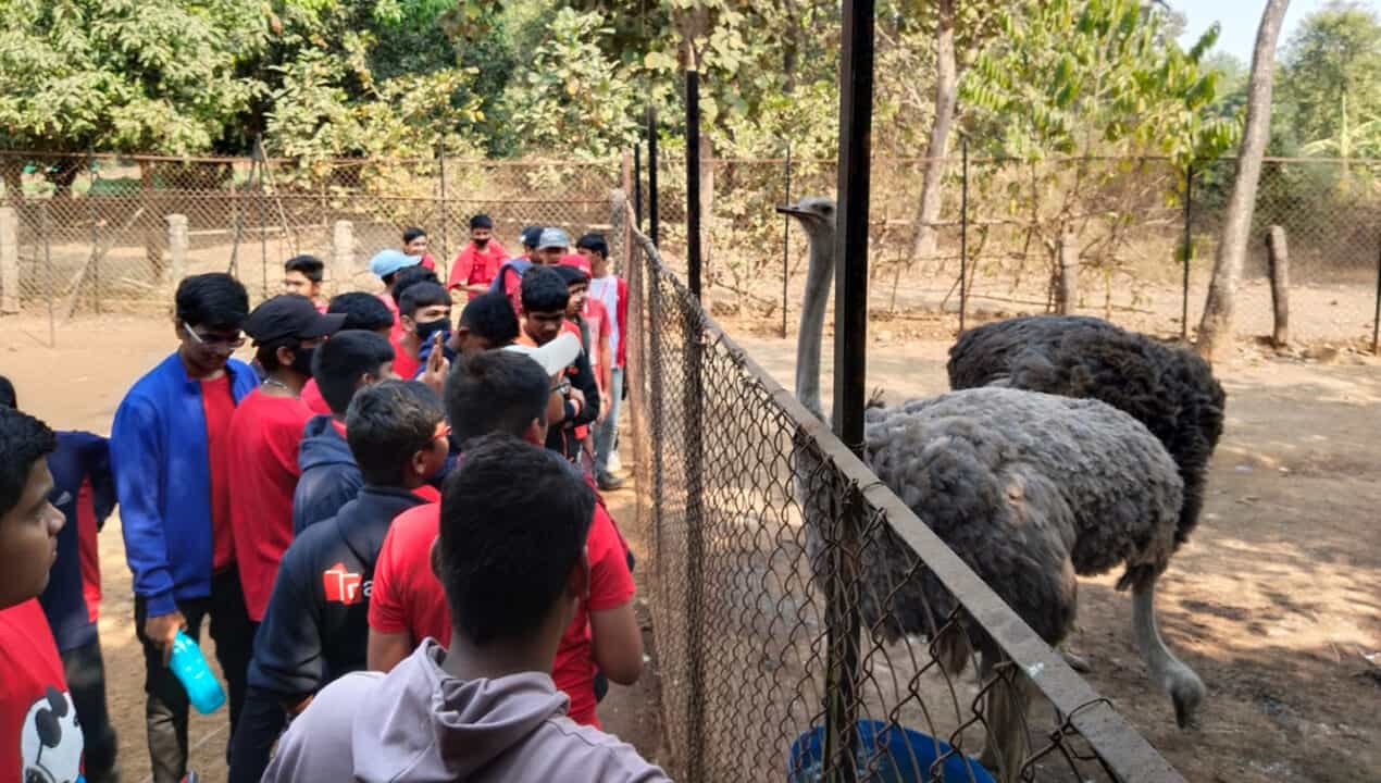 Saguna Baug – Picnic - Radcliffe School